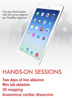 GDip Features – CEPIA